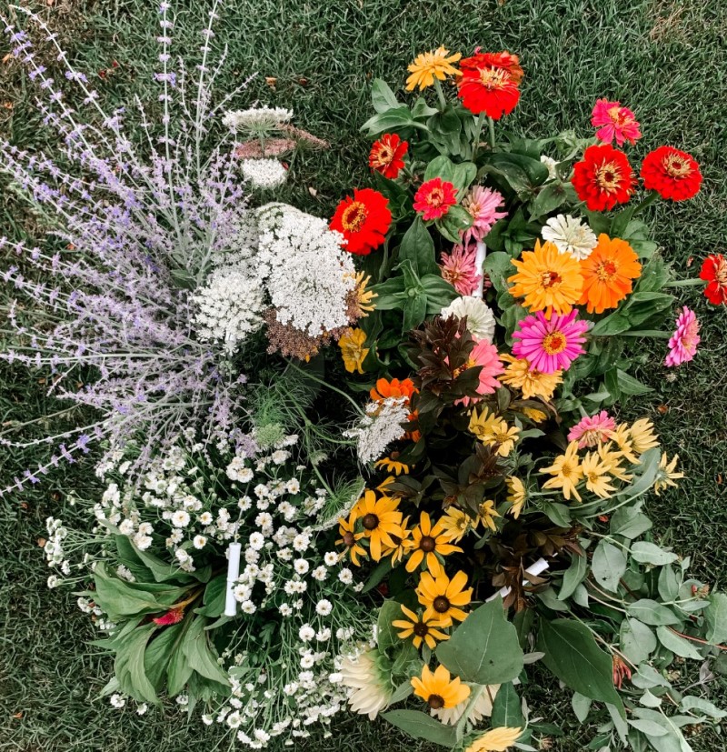 Buy tickets – Rooted Part 1: Starting a Garden from Scratch – Sycamore ...