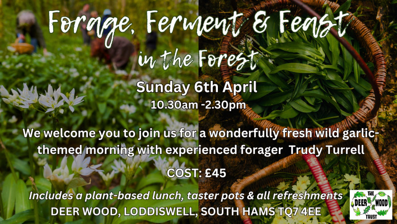 Buy tickets – FORAGE, FERMENT & FEAST in the Forest – Deer Wood, Loddiswell