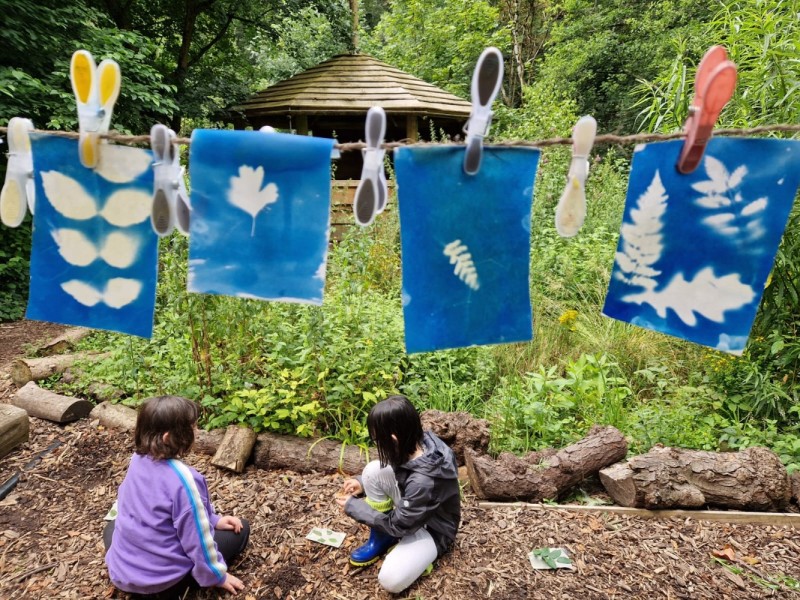Make a Booking – Summer Woodland Adventure - Willsbridge Mill ...