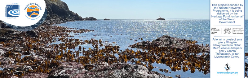 Select tickets – Pembrokeshire Marine Code Event - Invasive Species on ...
