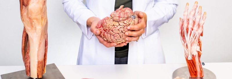 Select tickets – Experience Anatomy Open House – Experience Anatomy