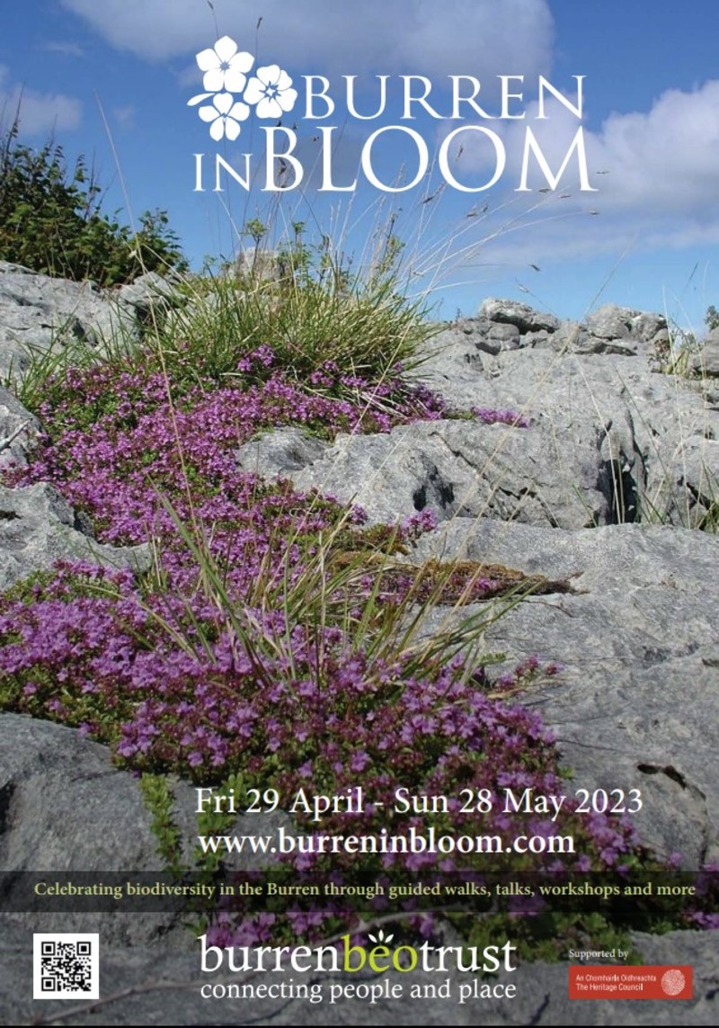 Book Tickets – Burren in Bloom TICKETS 2023 – The Burren