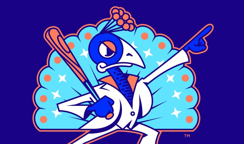 Buy tickets – Carolina Disco Turkeys vs. Fungo – Couch Ballpark, WFU ...