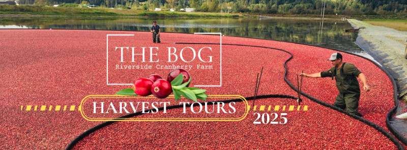 Buy tickets – THE BOG Cranberry Harvest Farm Tour - Saturday OCTOBER 11 ...