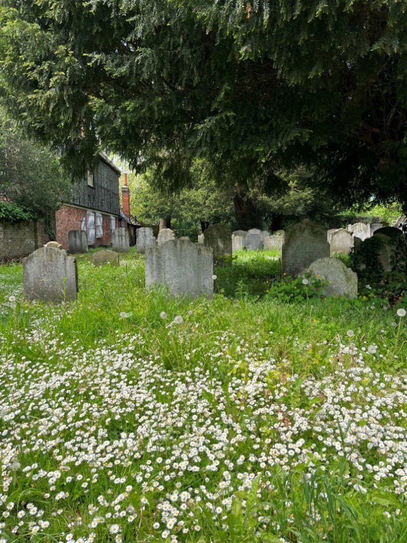 Select tickets – 400 years of Local Black History: A guided walk in ...