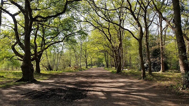 Buy tickets – London Birdsong Academy Walkshop - Wimbledon Common ...