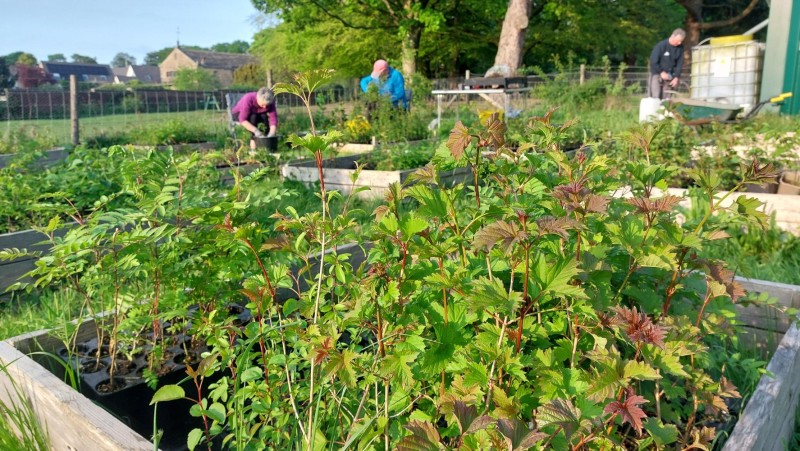 Reserve your place – Community tree nursery maintenance – Marsden Park ...
