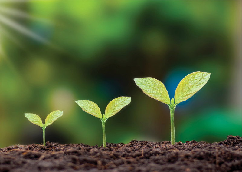 Register Now – Planting Seeds of Generosity: A Celebration of Legacy ...