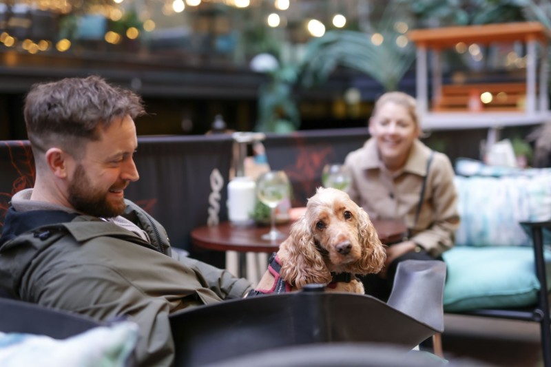 BUY TICKETS NOW – Cocker Spaniel Cafe - Birmingham – The World Bar at ...