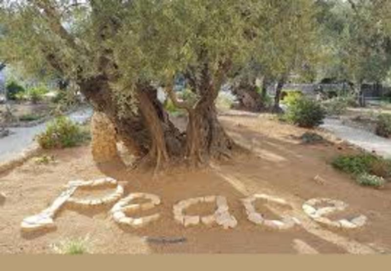 Buy tickets – Pathways to Peace: Israeli Voices for Peace: Professor ...