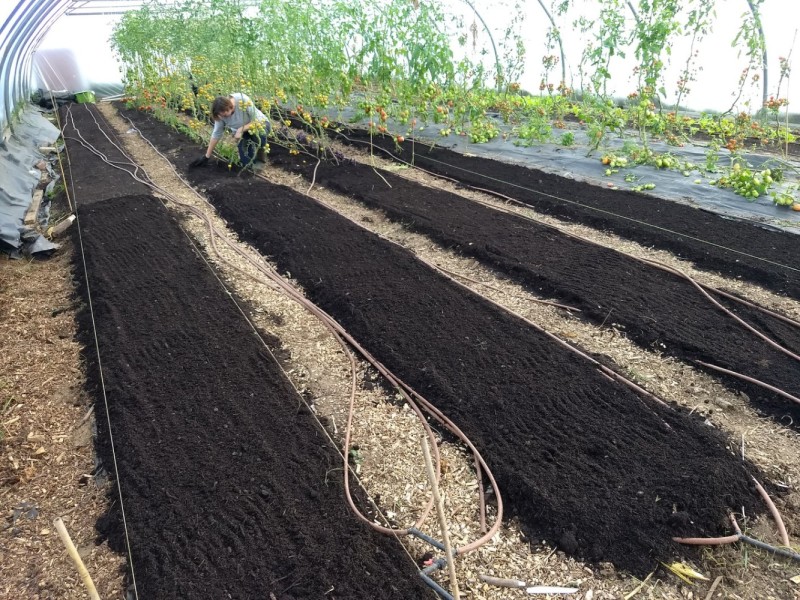 Buy tickets – Compost, compost teas and plant feeds – Blackhaugh ...